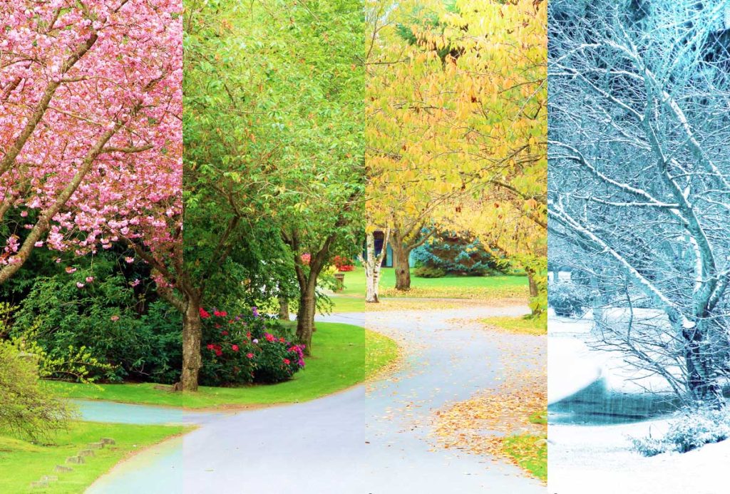 Seasonal Fuel Grade Changes Explained - Guttman Energy